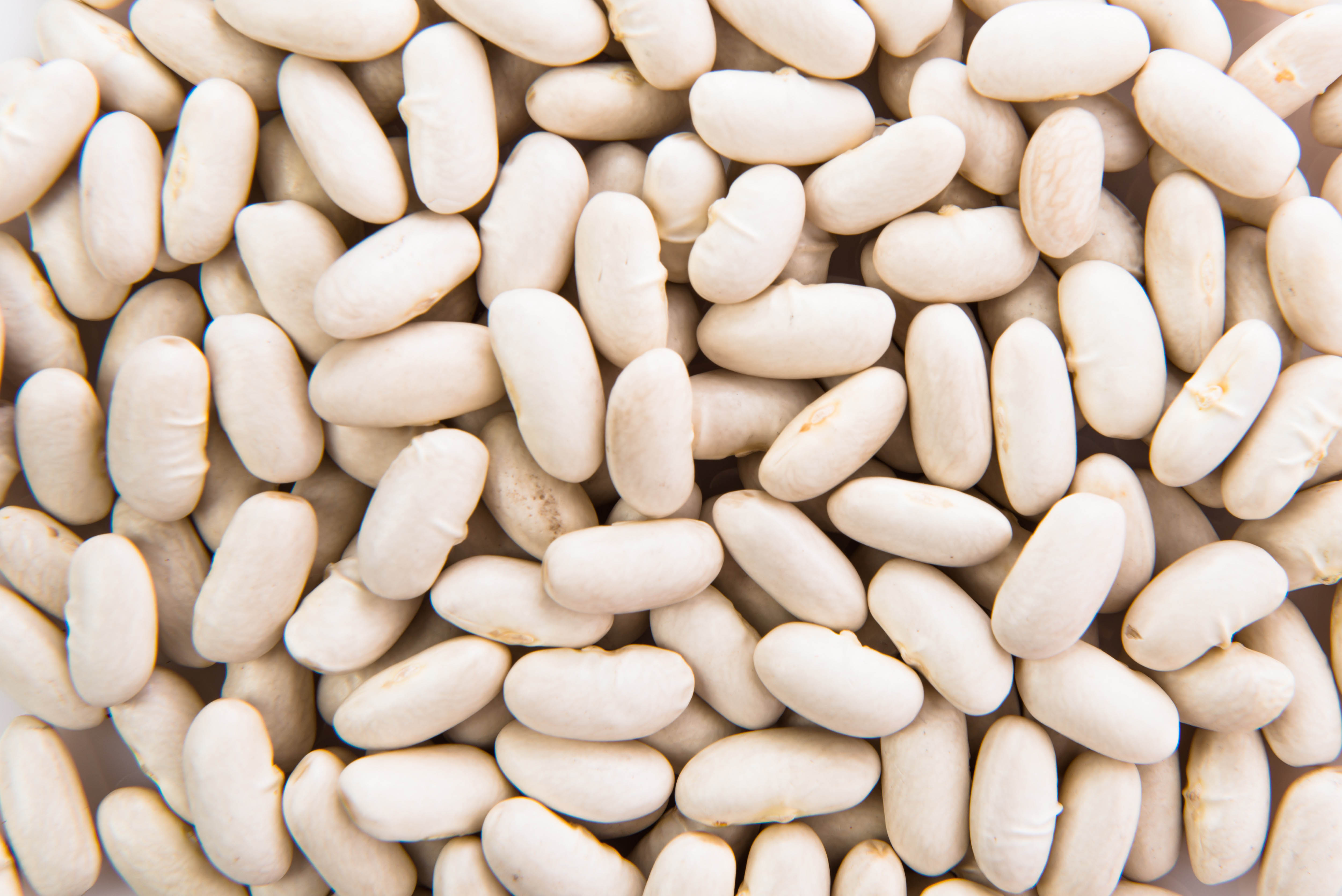 Fríjol Blanco un plato delicioso, nutritivo y muy fácil de prepar